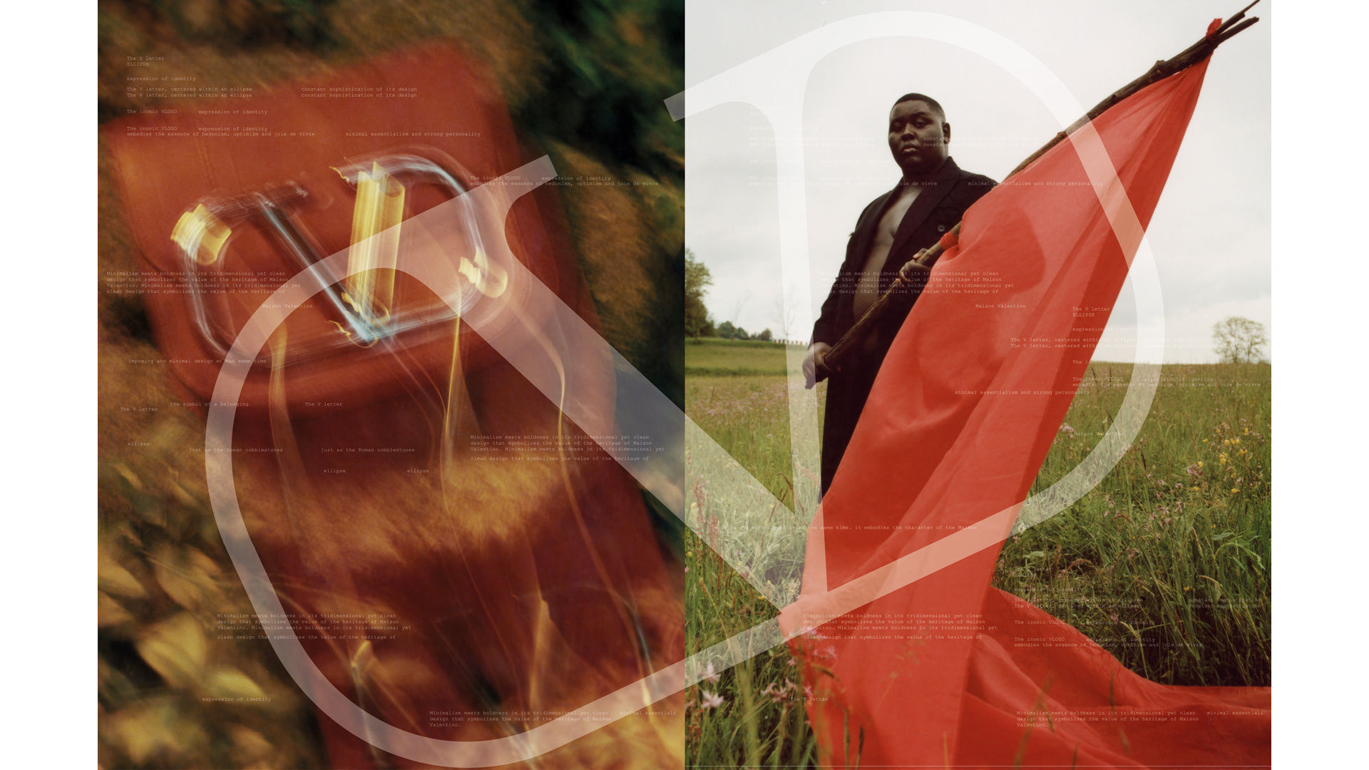 The VLogo Signature Book Vol. II | Valentino