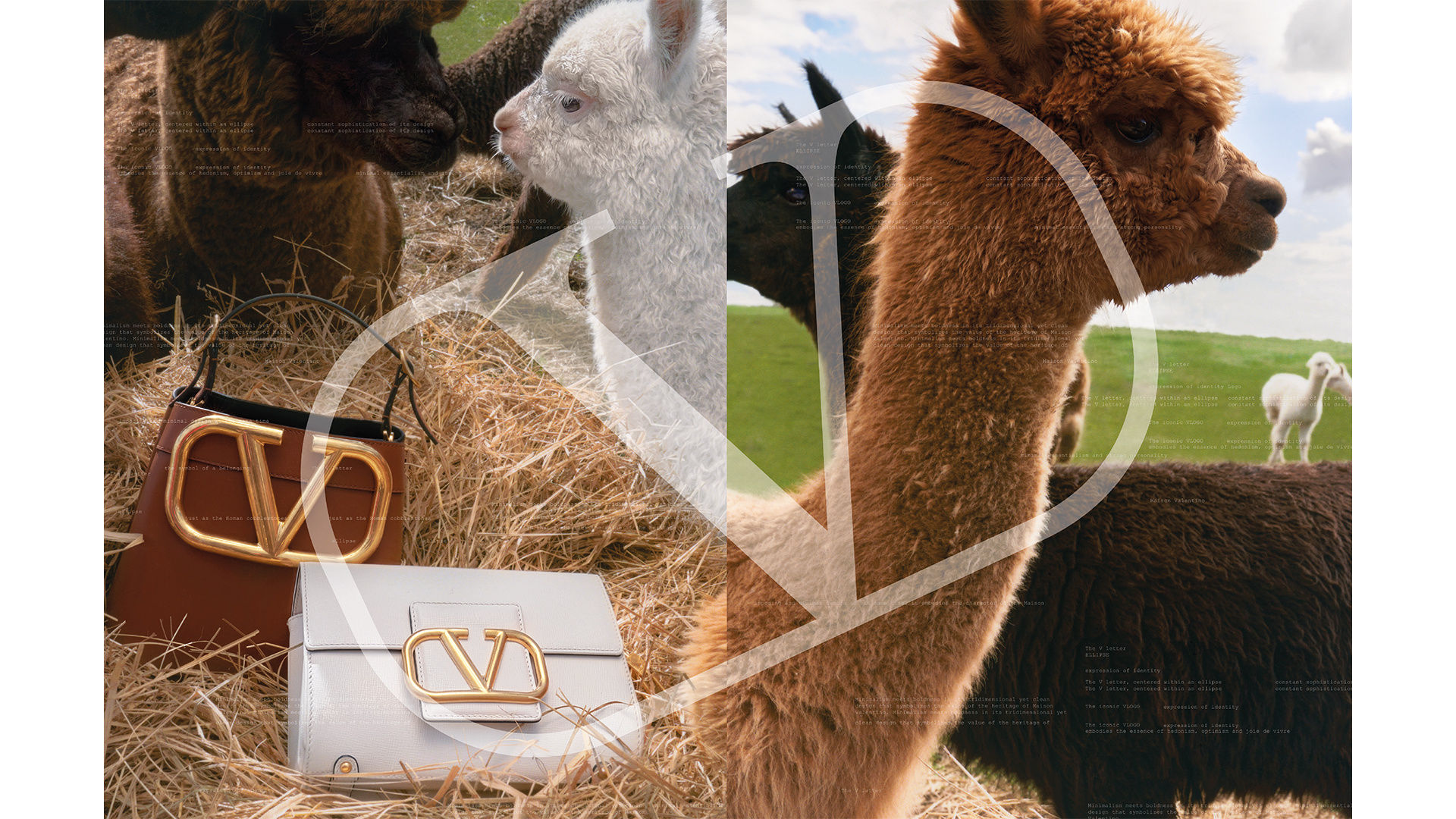 The VLogo Signature Book Vol. II | Valentino